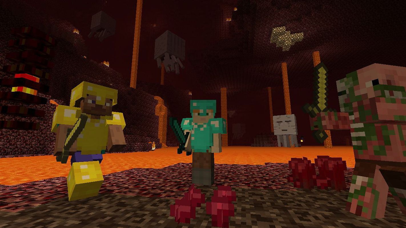 Minecraft nintendo wii store