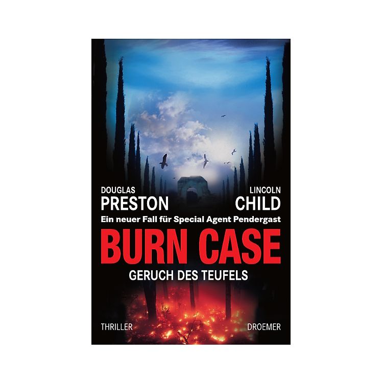 Burn Case gebraucht kaufen