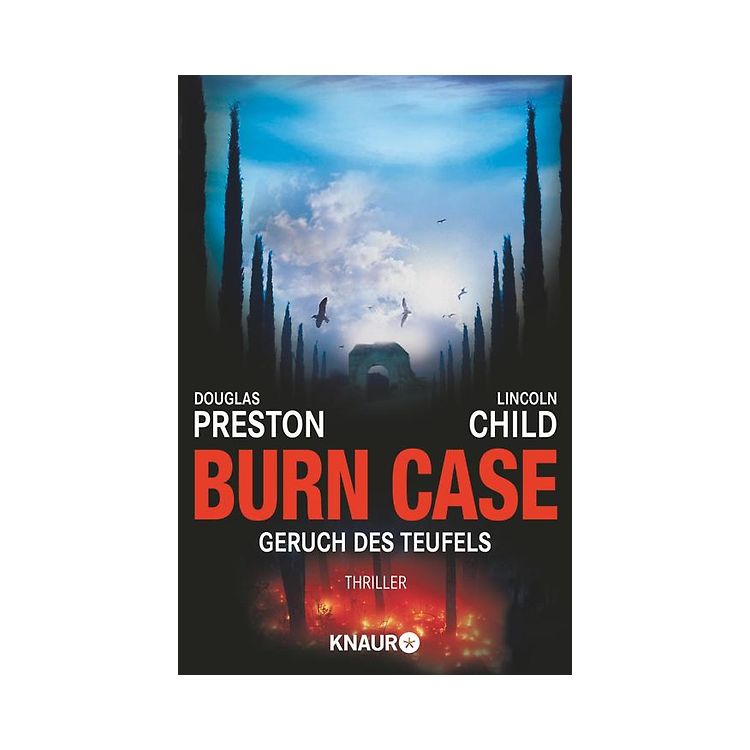 Burn Case gebraucht kaufen