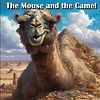 The Camel and the Mouse: World Folk Tales - The story of the Camel and ...