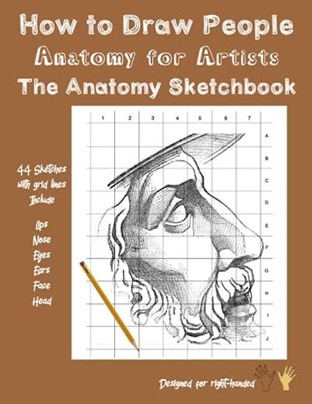 How to Draw People - Anatomy for Artists - The Anatomy Sketchbook ...