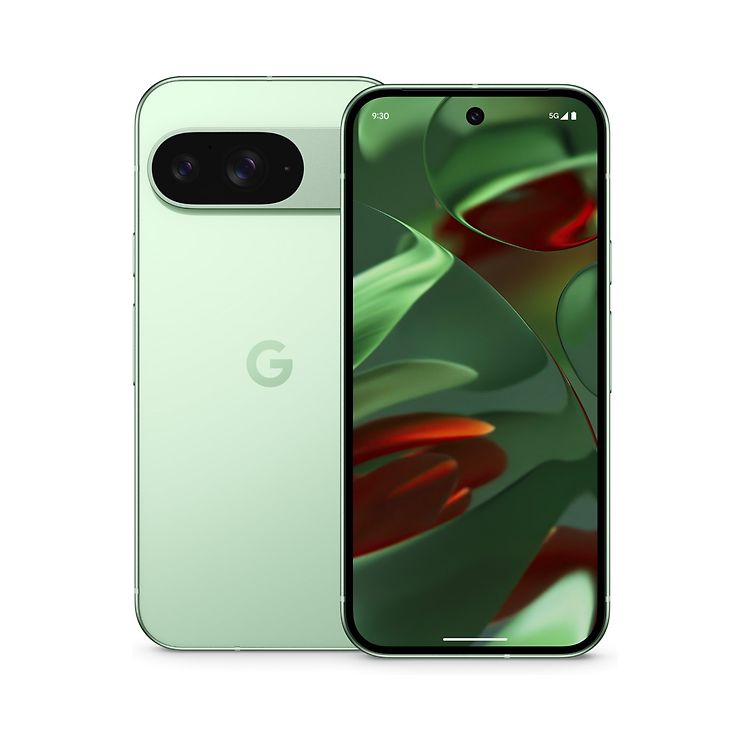 Google Pixel 9 Dual SIM 128GB wintergreen gebraucht kaufen