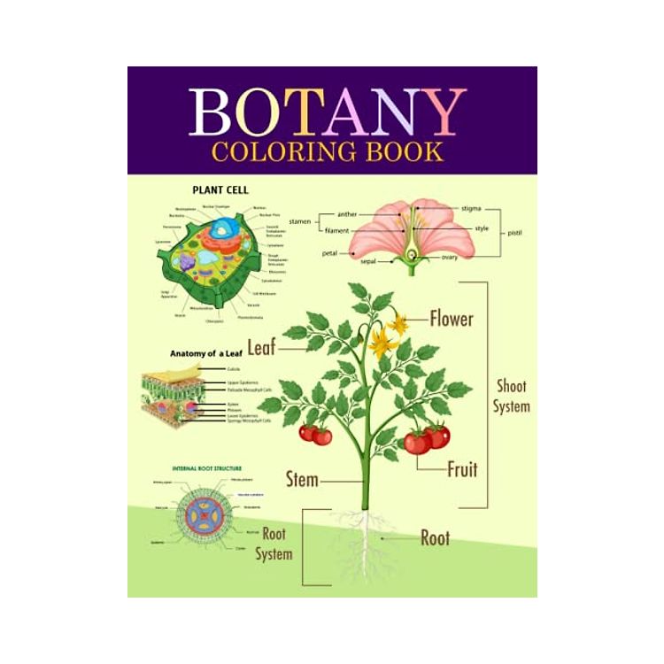 Botany Coloring Book: Incredibly Detailed Plants Anatomy Coloring Pages ...