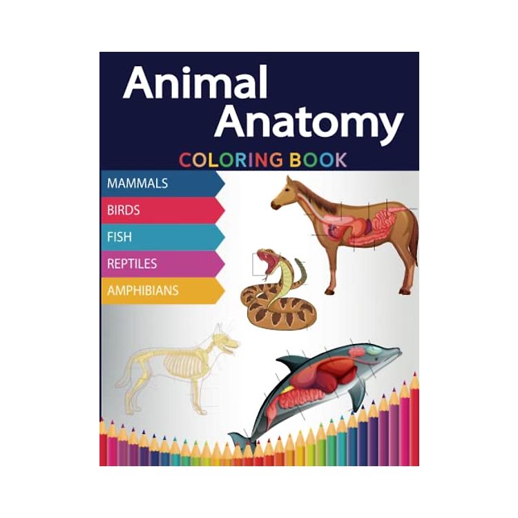 Animal Anatomy Coloring Book: Veterinary & Zoology Anatomy Coloring ...