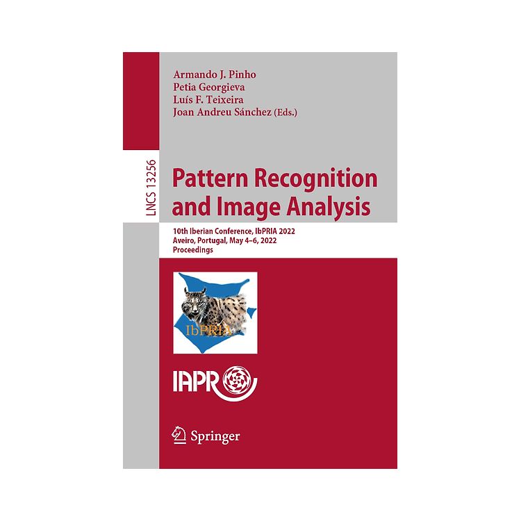 Pattern Recognition and Image Analysis gebraucht kaufen