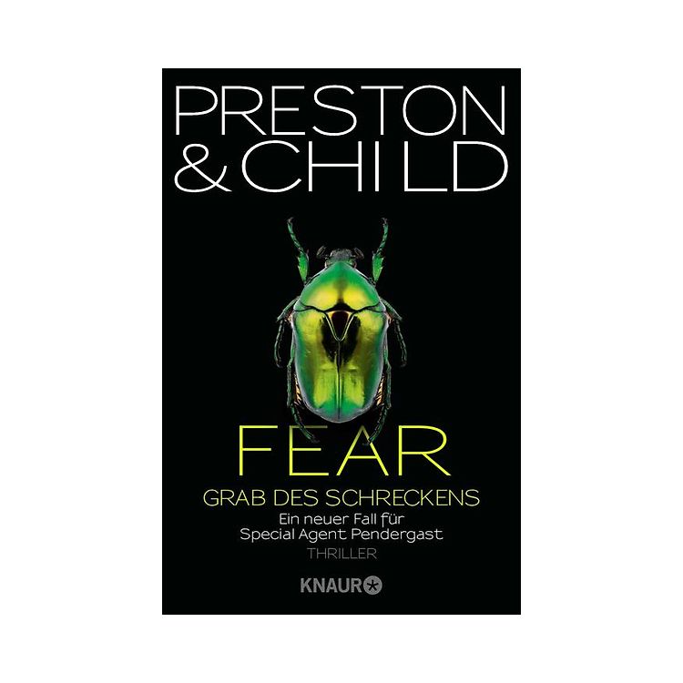 Fear - Grab des Schreckens gebraucht kaufen