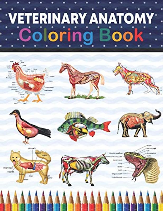 Veterinary Anatomy Coloring Book: Veterinary Anatomy Coloring ...