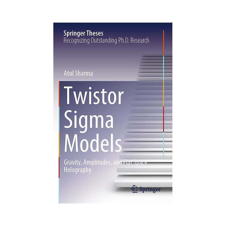 Twistor Sigma Models gebraucht kaufen