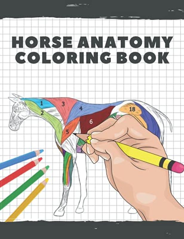 Horse Anatomy Coloring Book: Perfect Gift For Veterinary Students And ...