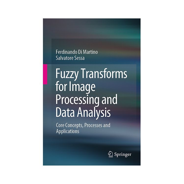 Fuzzy Transforms for Image Processing and Data Analysis gebraucht kaufen