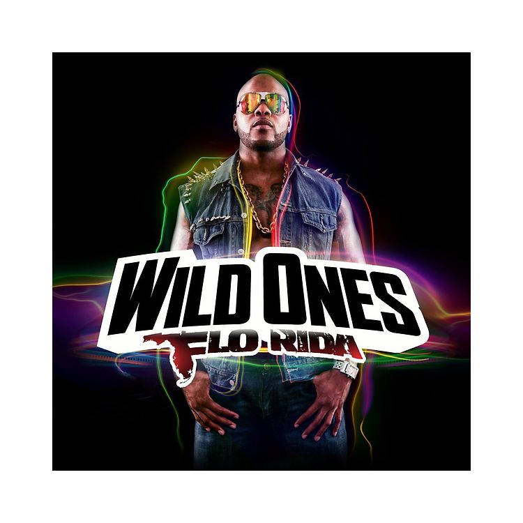 Flo Rida - Wild Ones gebraucht kaufen